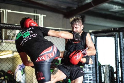 Muay Thai Kickboxing Gym & Classes In Sunshine Coast | Combat Lab Martial Arts